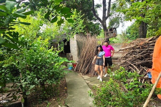 From Hanoi: Luxury Day Trip Hoa Lu, Tam Coc, Mua Cave,Local House - The Sum Up: Who Will Love This Tour?