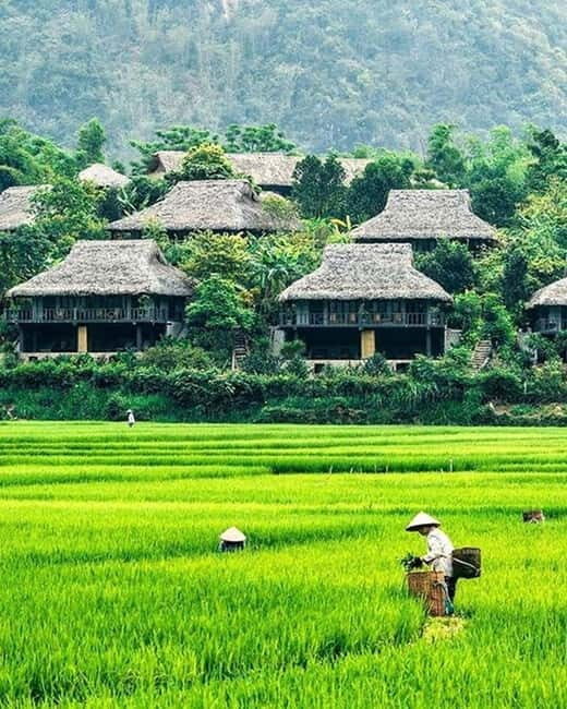 From Hanoi: Mai Chau Excursion 1 Day with Cycling and Lunch - Introduction: A Scenic Escape from Hanoi