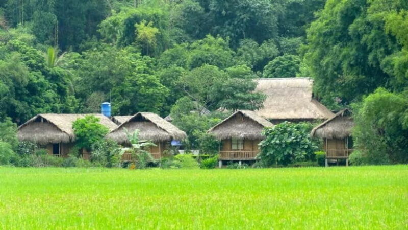 From Hanoi: Mai Chau, Pu Luong, Ninh Binh 3-Day Tour - An In-Depth Look at the Itinerary