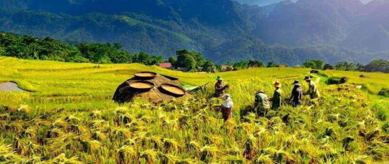 From Hanoi: Mai Chau, Pu Luong, Ninh Binh 3-Day Tour - Practical Details & Tips