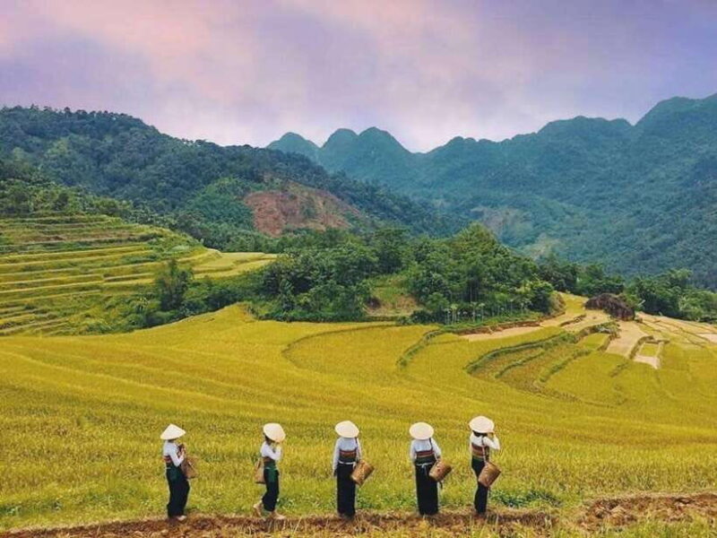 From Hanoi: Mai Chau, Pu Luong, Ninh Binh 3-Day Tour - Who Should Consider This Tour?