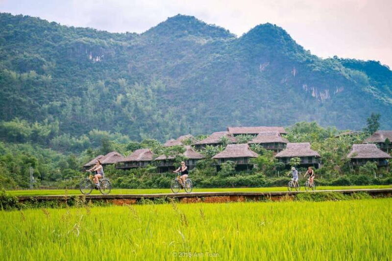 From Hanoi: Mai Chau, Pu Luong, Ninh Binh 4-Day Tour - The Sum Up