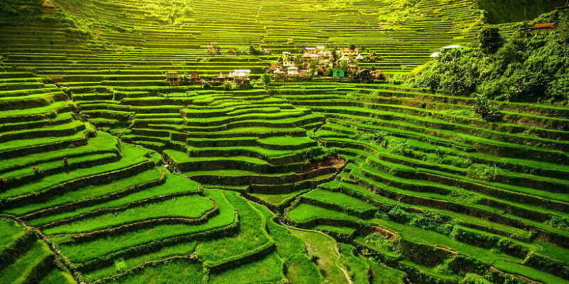 From Hanoi: Mai Chau Valley 2-Day Tour with Homestay - Authentic Experiences That Matter
