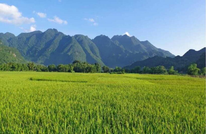 From Hanoi: Mai Chau Valley Day Trip with Lunch and Bike - Final Thoughts: Who Will Love This Tour?