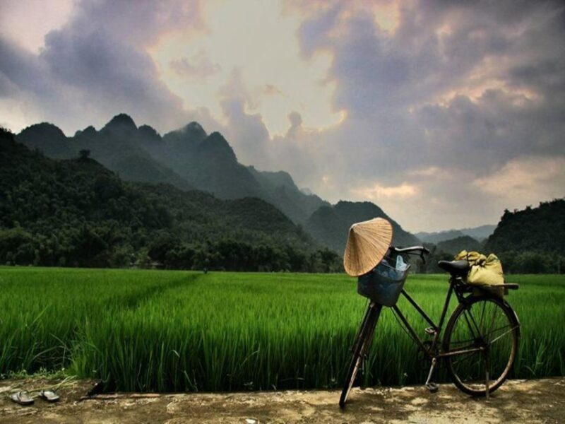 From Hanoi: Mai Chau Valley & Hill Tribes 2-Day Trek Tour - Authentic Experiences Supported by Reviews