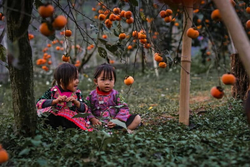 From Hanoi: Moc Chau 3-Day Guided Tour - Key Points