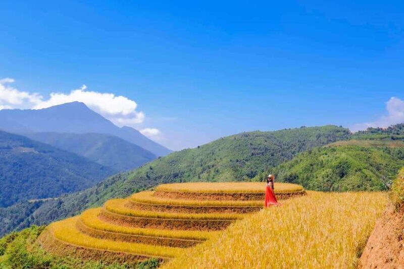 From Hanoi: Mu Cang Chai 3D2N trekking with local people - Key Points