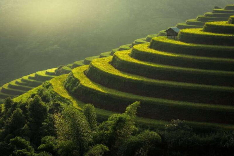 From Hanoi: Mu Cang Chai 3D2N trekking with local people - Who This Tour Is For