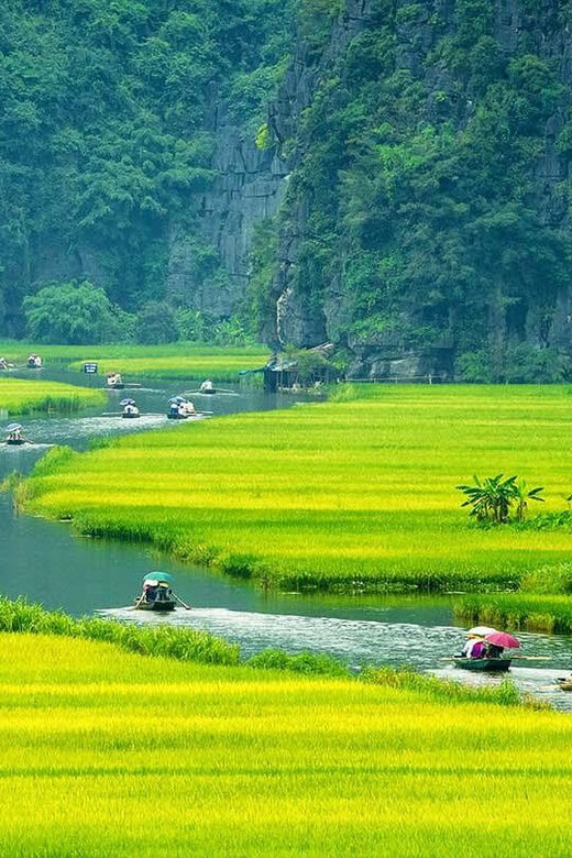 From Hanoi: Ninh Binh, Hoa Lu, Tam Coc and Mua cave - What to Consider
