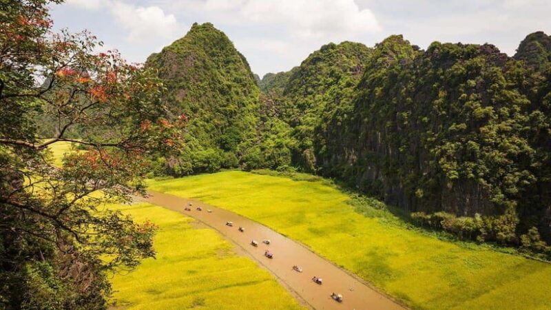 From Hanoi: Ninh Binh- Hoa Lu-Tam Coc- Mua Cave- Highlight - Key Points