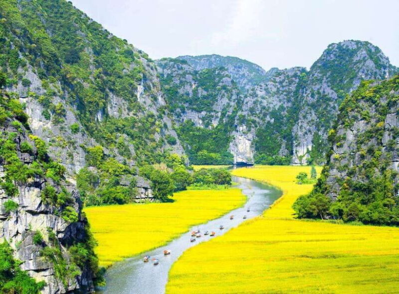 From Hanoi: Ninh Binh- Hoa Lu-Tam Coc- Mua Cave- Highlight - The Essentials of the Tour: What You Need to Know