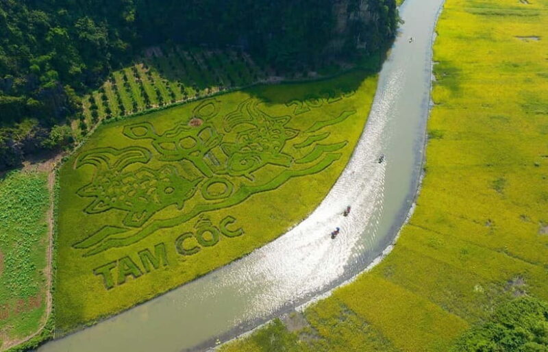 From Hanoi: Ninh Binh Tour 1 day- Hoa Lu, Tam Coc/Trang An - The Sum Up: An Authentic Day in Ninh Binh