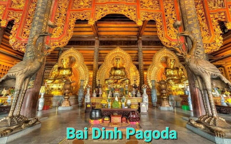 From Hanoi/NinhBinh: HoaLu-Bai Din- TrangAn- MuaCave-BichDon - Who Should Consider This Tour?