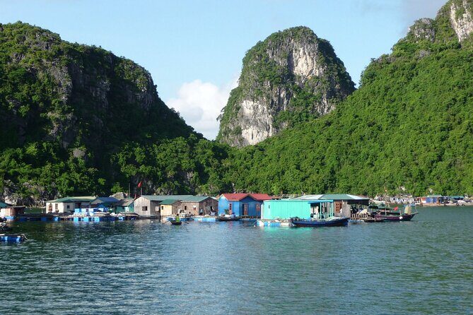 From Hanoi: Off-the-Beaten-Path Bai Tu Long Bay Scenic Cruise - Key Points