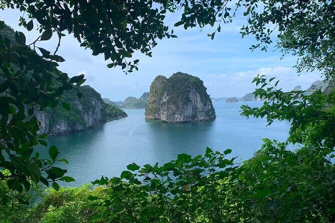 From Hanoi: Off-the-Beaten-Path Bai Tu Long Bay Scenic Cruise - A Practical Look at the Experience