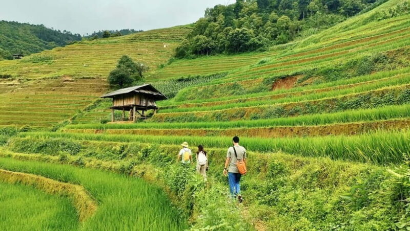 From Hanoi: Private 2-Day Mu Cang Chai Homestay & Trekking - Key Points