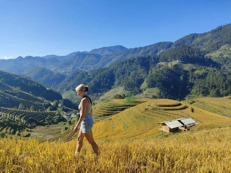 From Hanoi: Private 2-Day Mu Cang Chai Homestay & Trekking - A Closer Look at the Itinerary and Experience