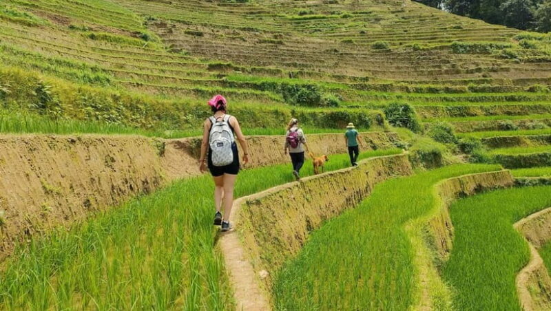 From Hanoi: Private 2-Day Mu Cang Chai Homestay & Trekking - Final Thoughts