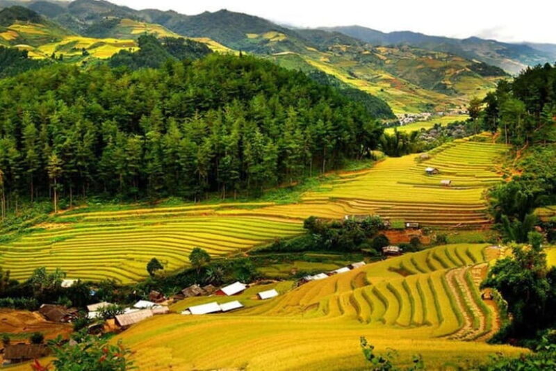 From Hanoi: Private/Group tour to Mai Chau Valley Full Day - An In-Depth Look at the Mai Chau Full-Day Tour