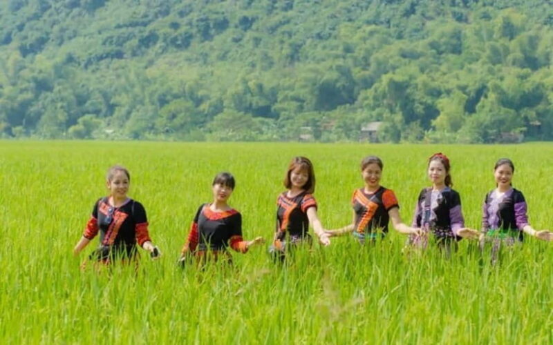 From Hanoi: Private/Group tour to Mai Chau Valley Full Day - Who Will Love This Tour