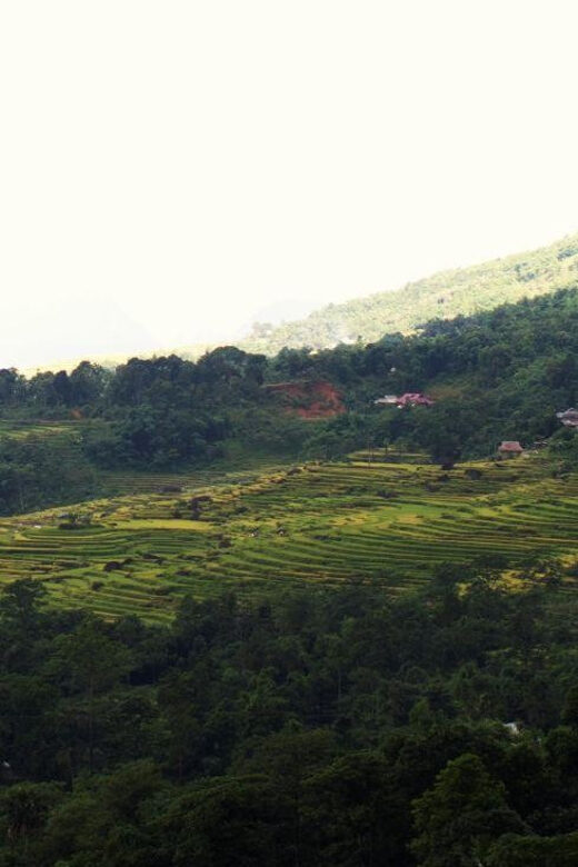 From HaNoi: Pu Luong 2 days journey to beautiful nature. - The Sum Up: A Genuine Vietnamese Adventure