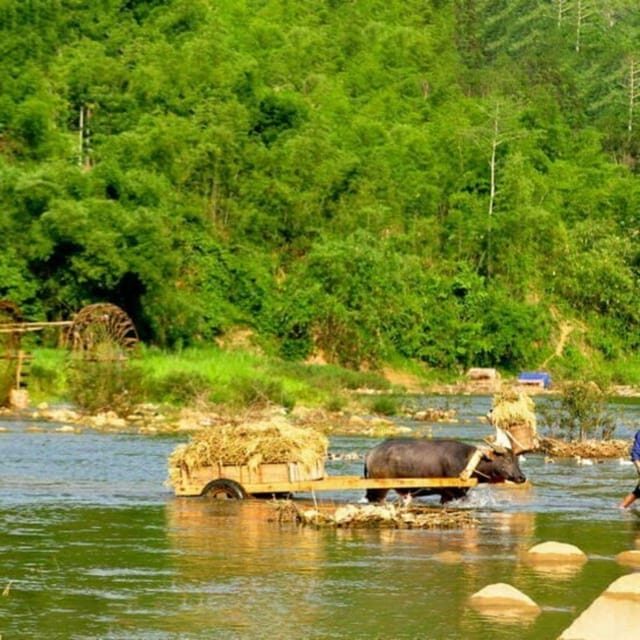 From Hanoi - Pu Luong 2D1N - Offbeat Trekking Tour - Key Points