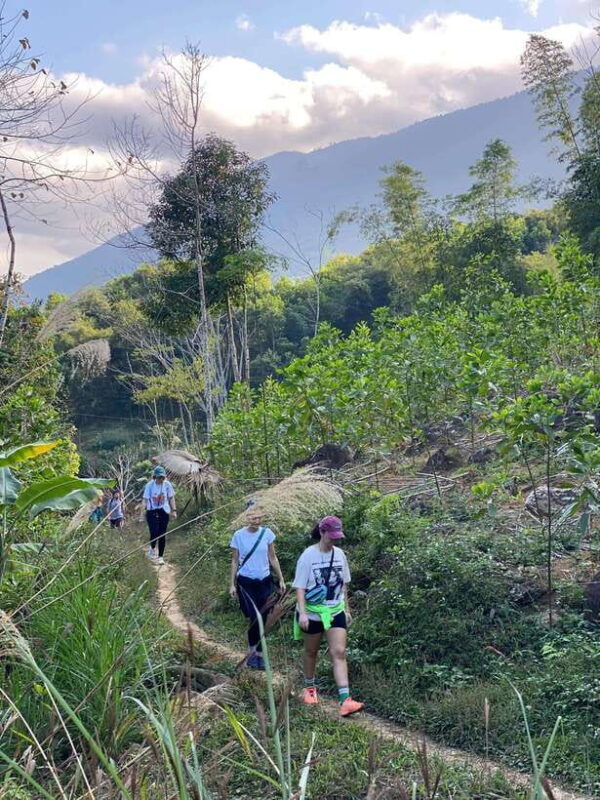 From Hanoi: Pu Luong 3-day classic tour, finish in Ninh Binh - Day 1: Gentle Walks and Water Adventures