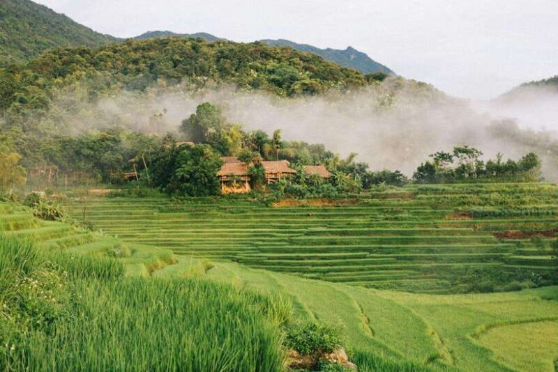 From Hanoi: Pu Luong Nature Reserve 3-Day Package Tour - An Authentic Trip into Vietnam’s Nature and Culture