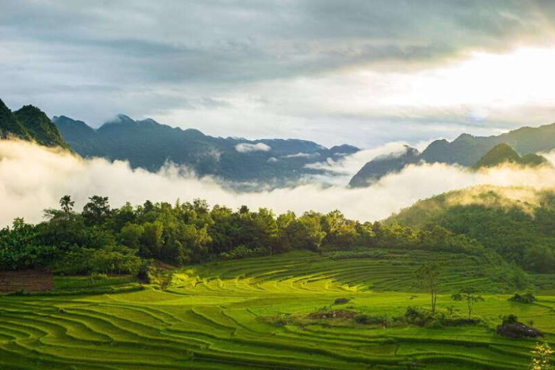 From Hanoi: Pu Luong Nature Reserve 3-Day Package Tour - Authentic Experiences That Are Worth Your Time
