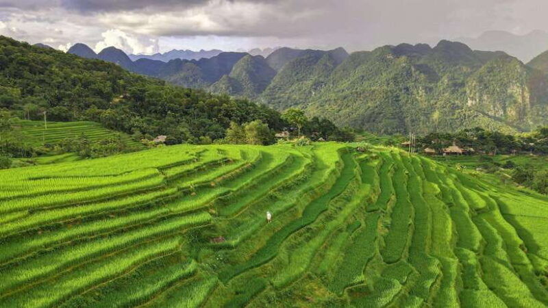 From Hanoi: Pu Luong Nature Reserve 3-Day Package Tour - Who Will Love This Tour?