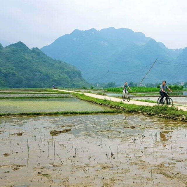 From Hanoi: Pu Luong Nature Reserve Vacation 2D1N - From Hanoi: Pu Luong Nature Reserve Vacation 2D1N — A Detailed Review