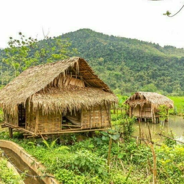 From Hanoi: Pu Luong Nature Reserve Vacation 2D1N - Who Is This Tour Best For?