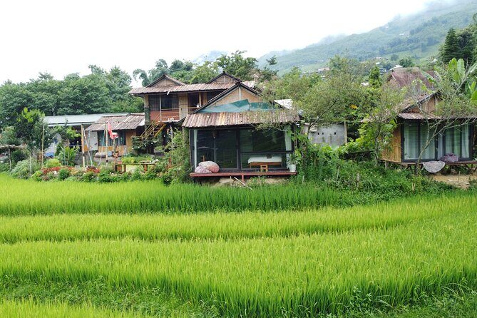 From Hanoi - Sapa 2 Days 2 Nights Tour With Fansipan by cable car - Authentic Experiences and Highlights
