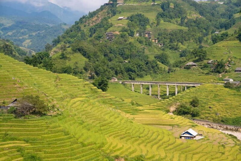 From Hanoi: Sapa 3-Day Trek with Culture and Cozy Bungalow - An In-Depth Look at the Sapa Experience