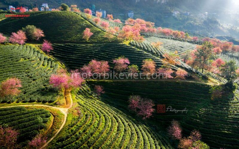 From Hanoi: Sapa 3 Days 2 Nights In the Evening - Who Should Consider This Tour?