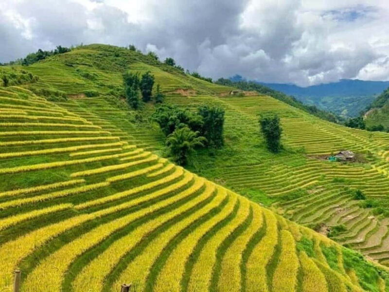 From Hanoi: Sapa 3 Days Trek, Phansipan Peak| 5-Stars Hotel - Who Should Consider This Tour?