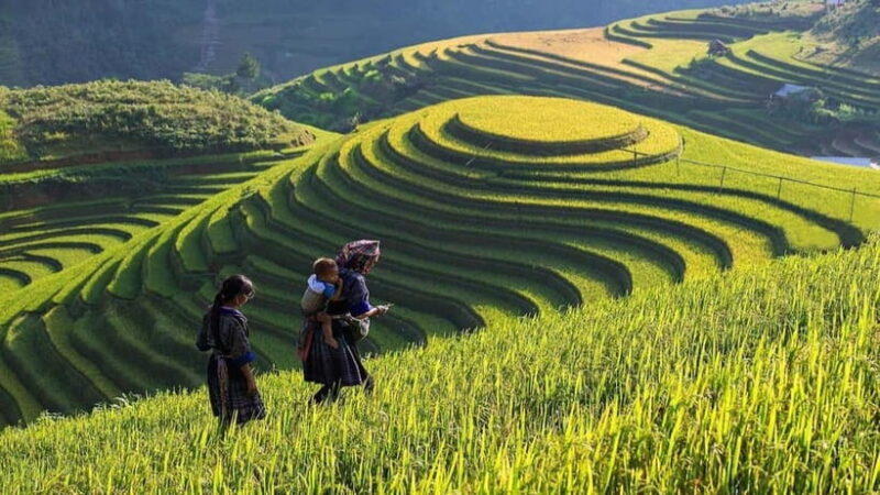 From Hanoi: Sapa and Bac Ha Market 2-Day Tour with Bus - Key Points