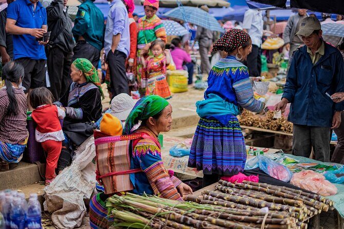 From HANOI: Sapa and Bac Ha Market 2 Days Tour, Depart Saturday - What Travelers Say: Authentic Feedback