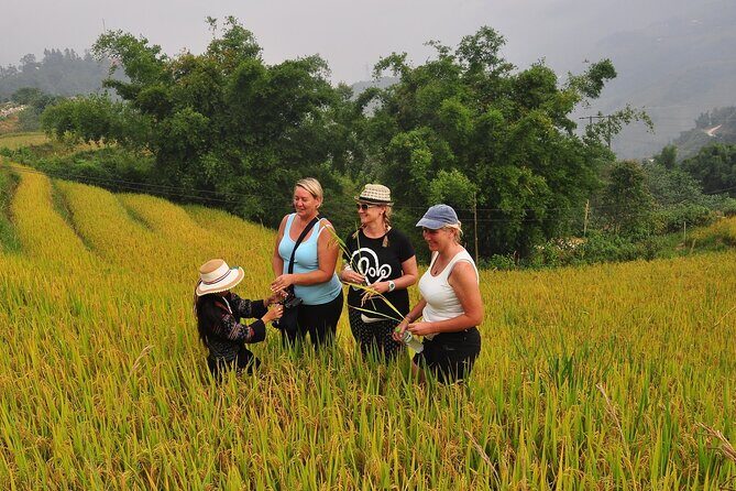 From Hanoi : Sapa Moutain Trek - Halong bay Heritage - A Closer Look at the Itinerary and Activities