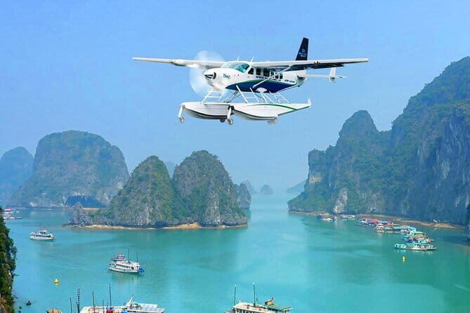 From Hanoi: Seaplane Sightseeing& Luxury Day Cruise in Halong Bay - Who Would Benefit Most from This Tour?