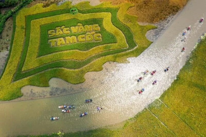 From Hanoi: Tam Coc Boat Trip and Hoa Lu & Mua Cave Tour - What to Expect on the Tour