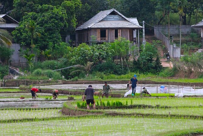 From Hanoi: THE BEST Day Trip to Mai Chau Explore Rural Villages - Frequently Asked Questions