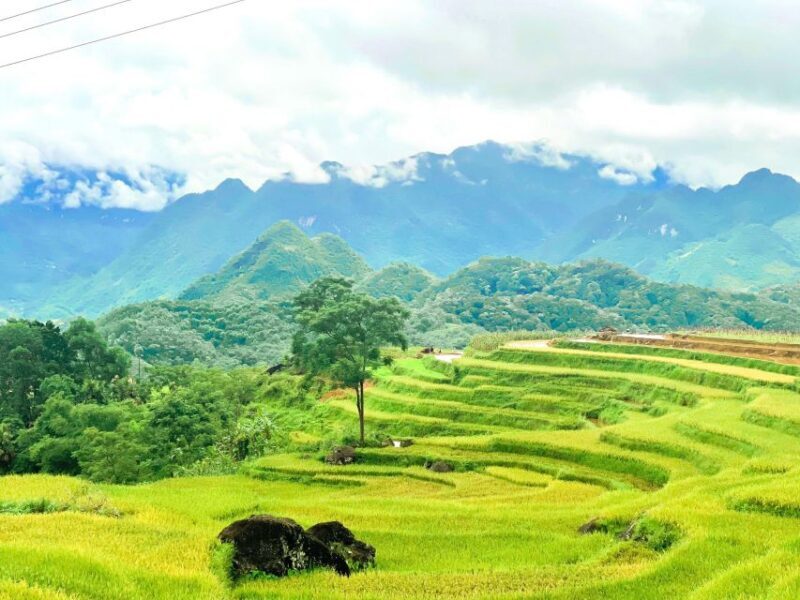 From Hanoi to Pu Luong: 2-Day Trip in Ethnic Villages - An In-Depth Look at the 2-Day Tour