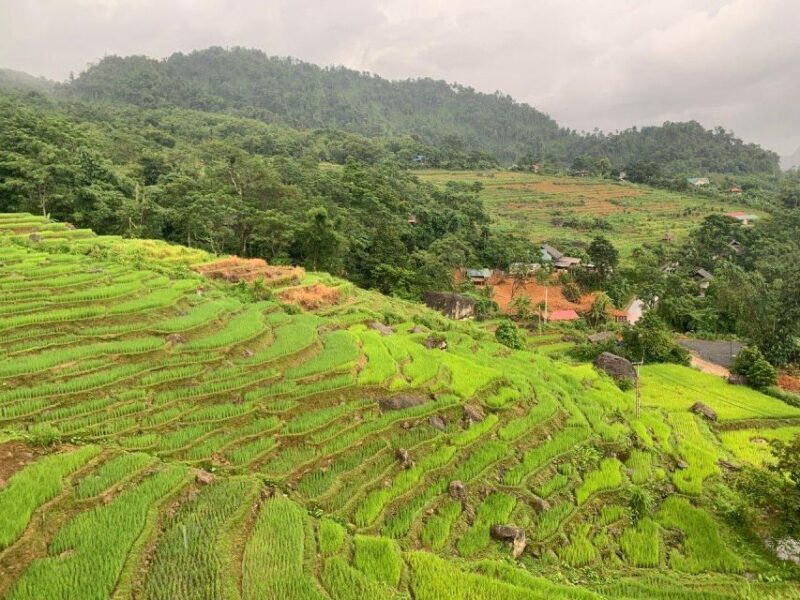 From Hanoi to Pu Luong: 2-Day Trip in Ethnic Villages - Who This Tour Is Perfect For