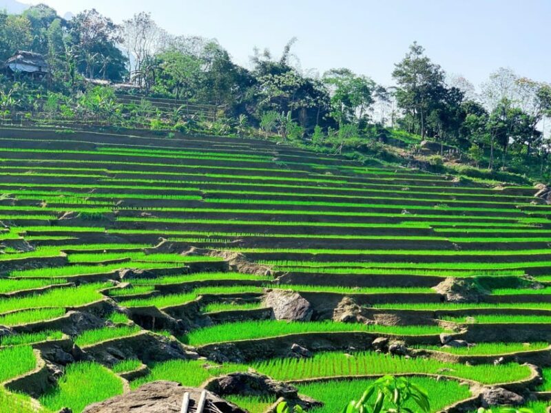 From Hanoi to Pu Luong: 2-Day Trip in Ethnic Villages - Whats Included and What Not