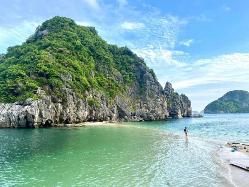 From Hanoi: Visit Cat Ba Islands By A Good Cruise In 1 Day - Key Points