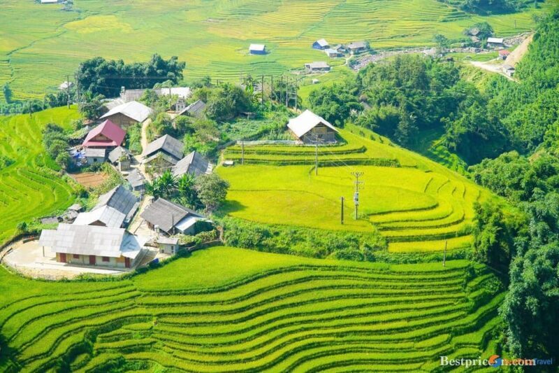 From Hanoi: Visit Sapa 3 Days & See The Terraced Fields - Day 3: Farewell and Return to Hanoi