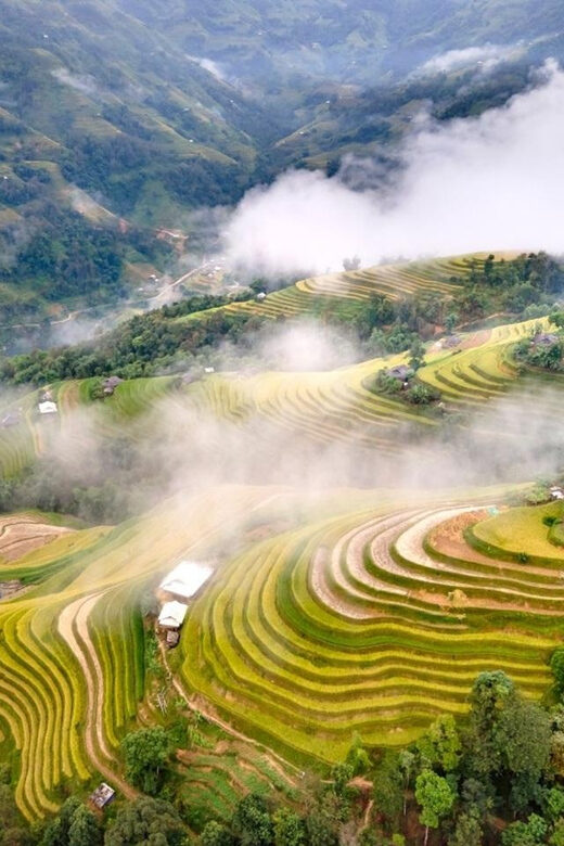 From Hanoi: Visit Sapa 3 Days & See The Terraced Fields - Who Will Love This Tour?