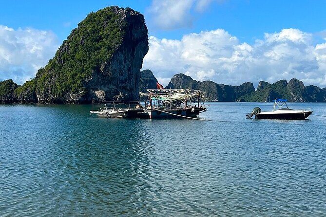 From Harbor: 2-Day Hidden Bai Tu Long Bay with Renea Cruises - Final Thoughts