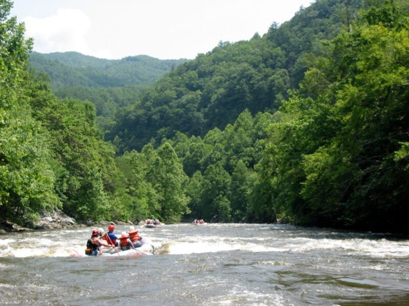 From Hartford: Upper Pigeon River White Water Rafting Tour - An Overview of the Experience